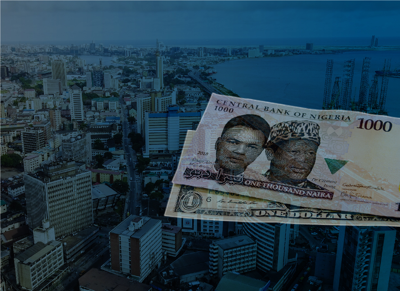 Currency Conundrum: Catching a Falling Knife - Nigeria’s First Credit Rating Company